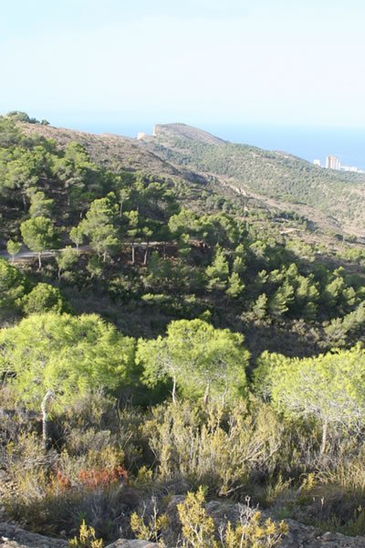 Senderismo Sierra Helada - Excursiones Benidorm - Benidorm Excursions